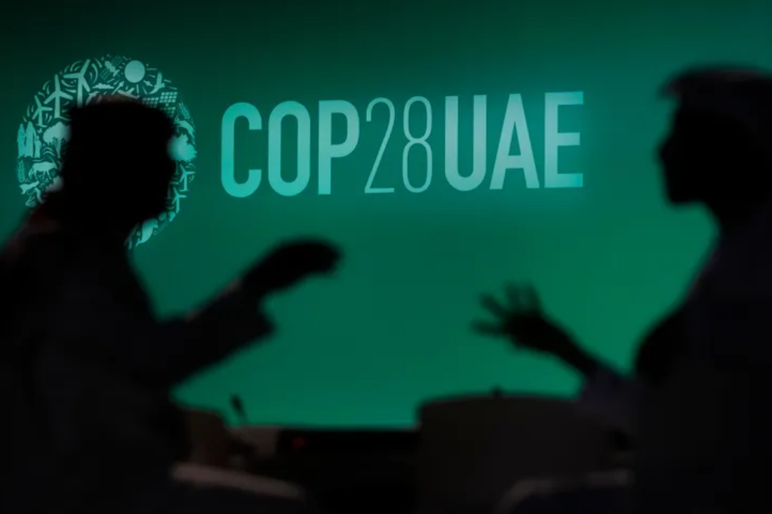 Ce que signifie le logo de la COP 28 - Ecolucide
